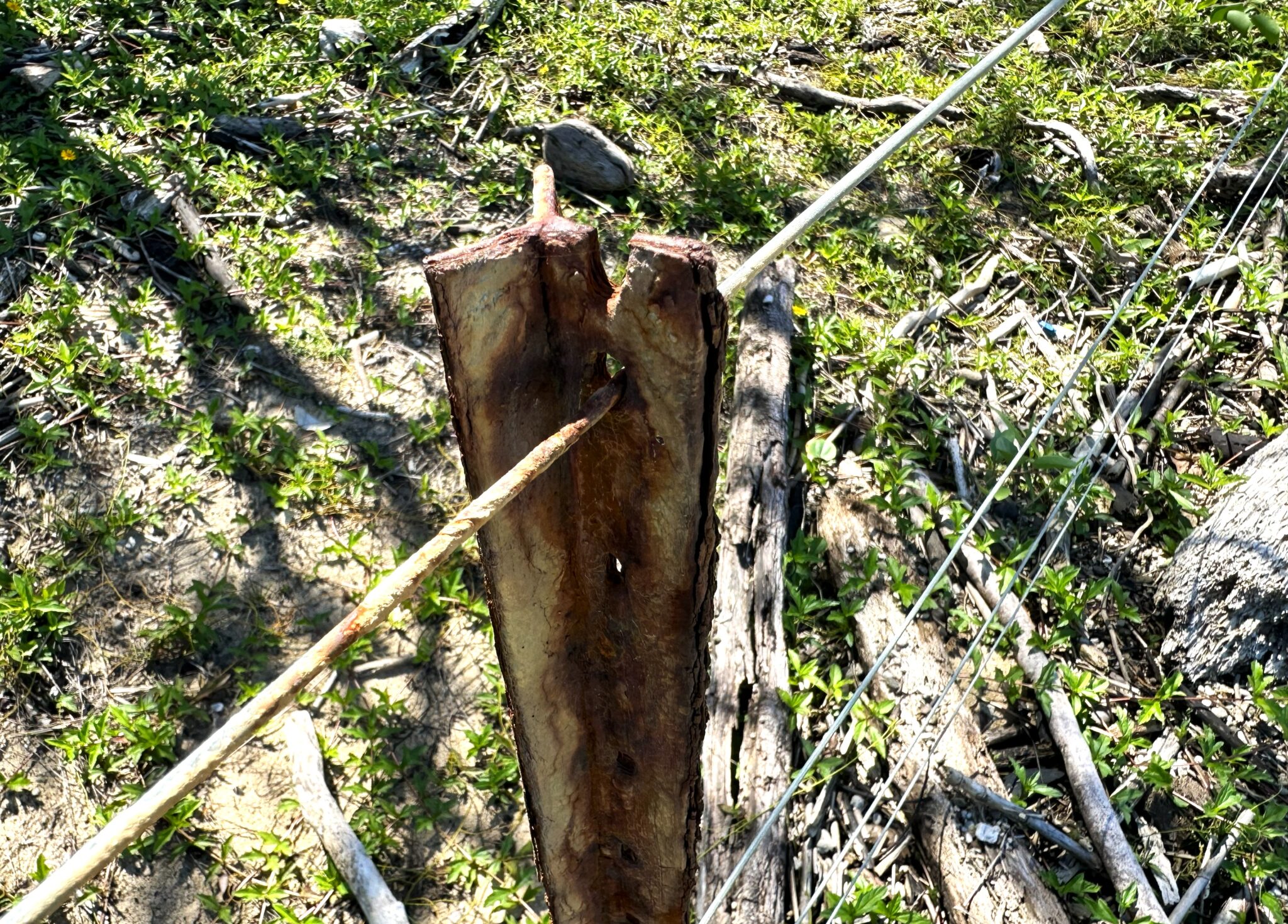 Why Does My Galvanised Wire Rust? - EnduraPost